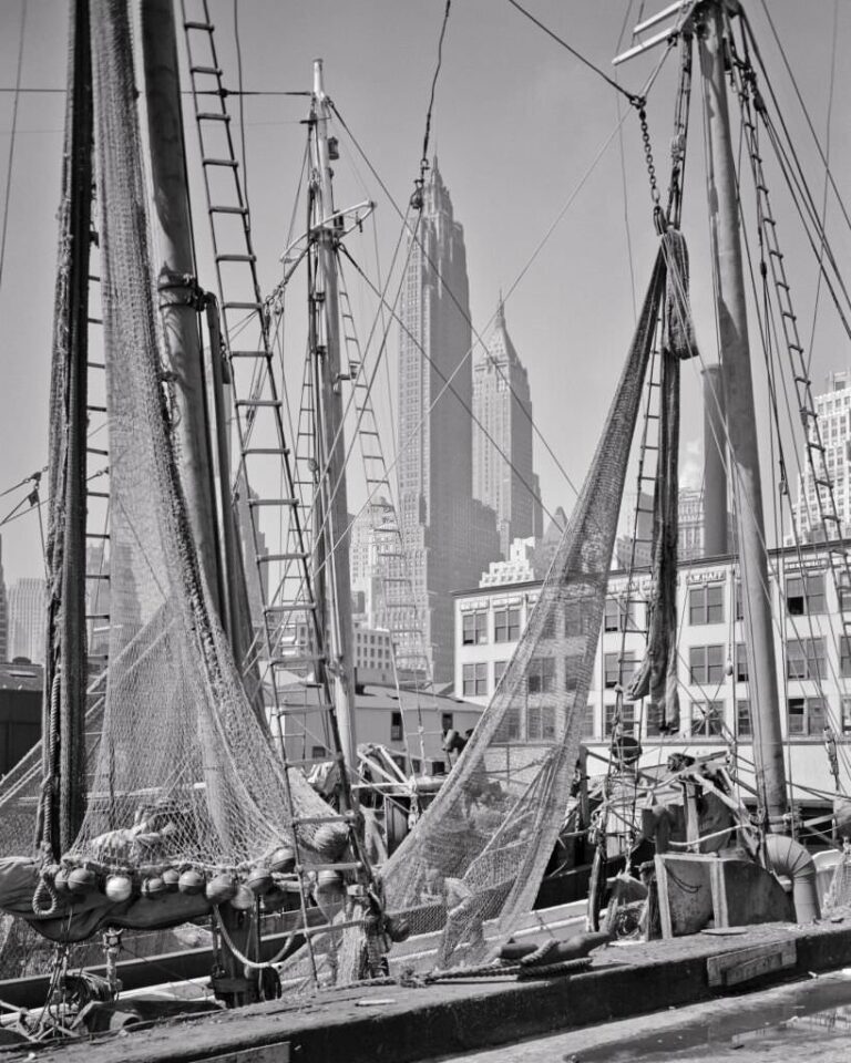 Stunning Historical Photos of Fulton Fish Market from the 1900s to 1960s