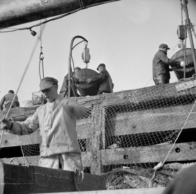 Stunning Historical Photos of Fulton Fish Market from the 1900s to 1960s