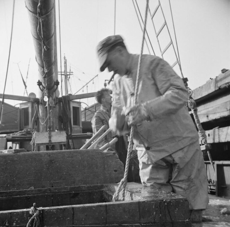 Stunning Historical Photos of Fulton Fish Market from the 1900s to 1960s