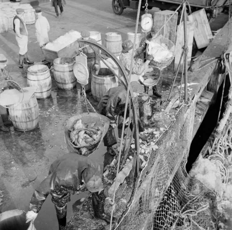 Stunning Historical Photos of Fulton Fish Market from the 1900s to 1960s