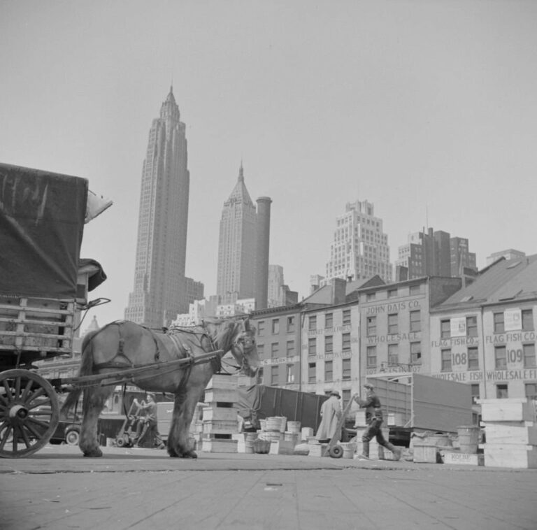 Stunning Historical Photos of Fulton Fish Market from the 1900s to 1960s