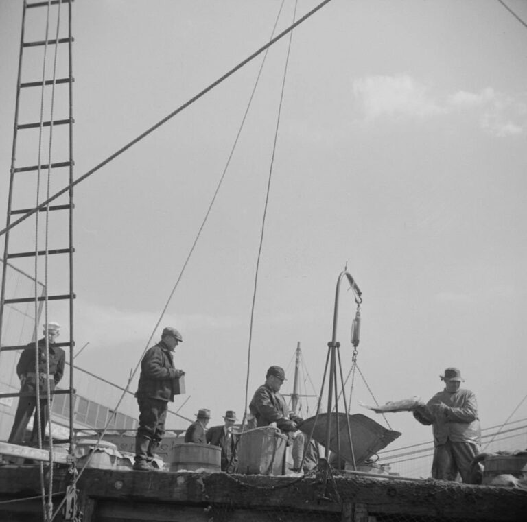 Stunning Historical Photos of Fulton Fish Market from the 1900s to 1960s
