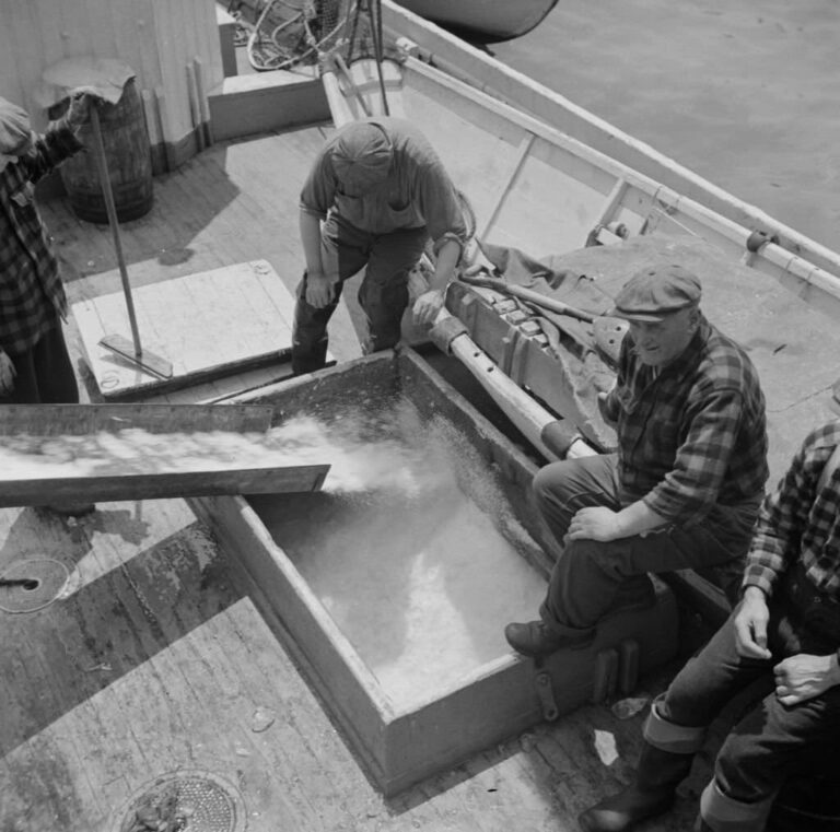 Stunning Historical Photos of Fulton Fish Market from the 1900s to 1960s