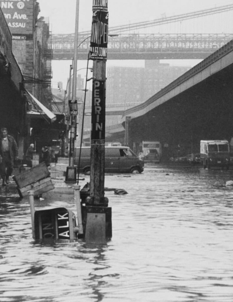 Stunning Historical Photos of Fulton Fish Market from the 1900s to 1960s