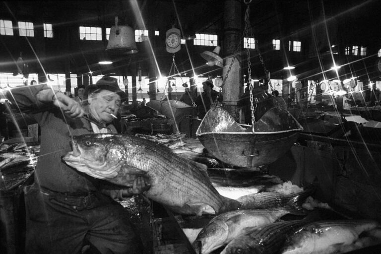 Stunning Historical Photos of Fulton Fish Market from the 1900s to 1960s