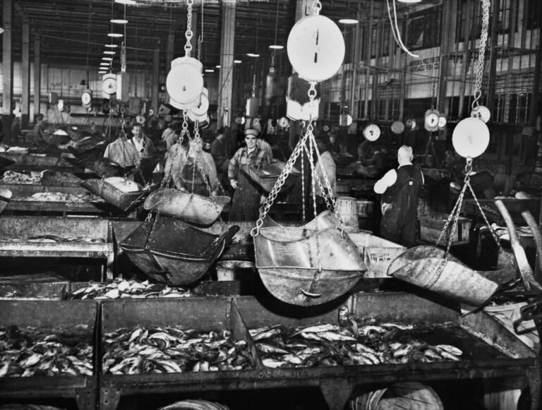 Stunning Historical Photos of Fulton Fish Market from the 1900s to 1960s