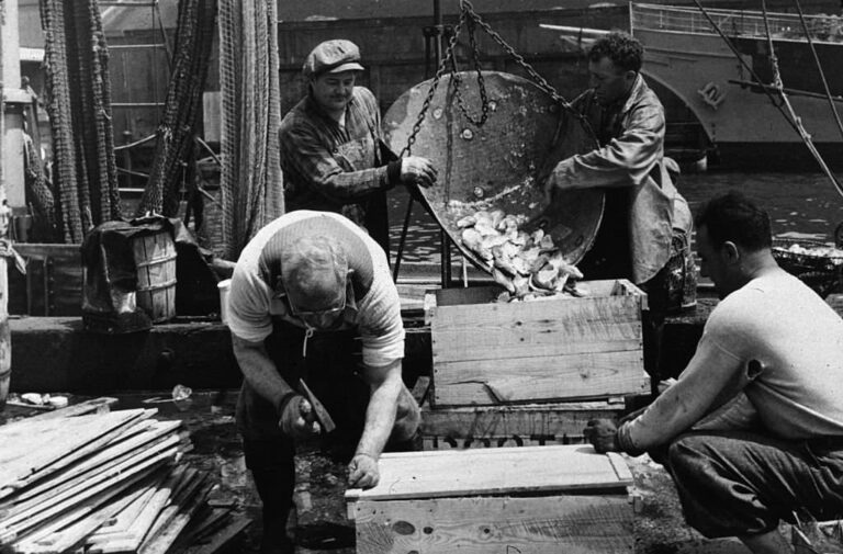 Stunning Historical Photos of Fulton Fish Market from the 1900s to 1960s