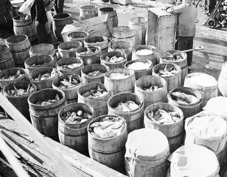Stunning Historical Photos of Fulton Fish Market from the 1900s to 1960s