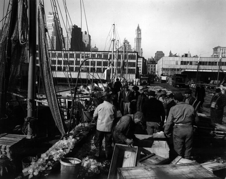 Stunning Historical Photos of Fulton Fish Market from the 1900s to 1960s