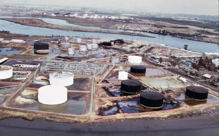 The Lost World of Staten Island in the 1970s: A Cautionary Tale of ...