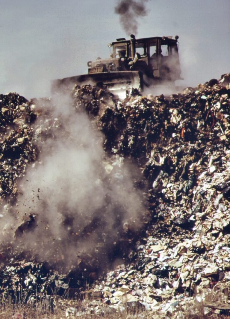 The Lost World of Staten Island in the 1970s: A Cautionary Tale of ...