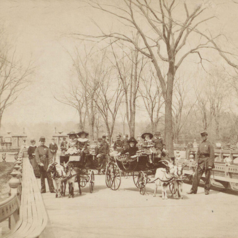 Rediscovering 1870s Manhattan through Captivating Historical Photos