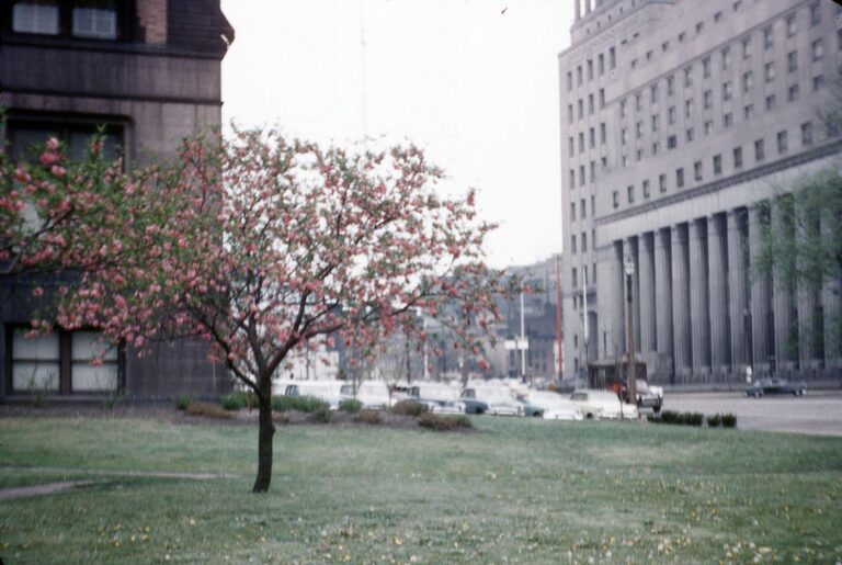 Step Back into 1950s Manhattan with Stunning Colored Photos