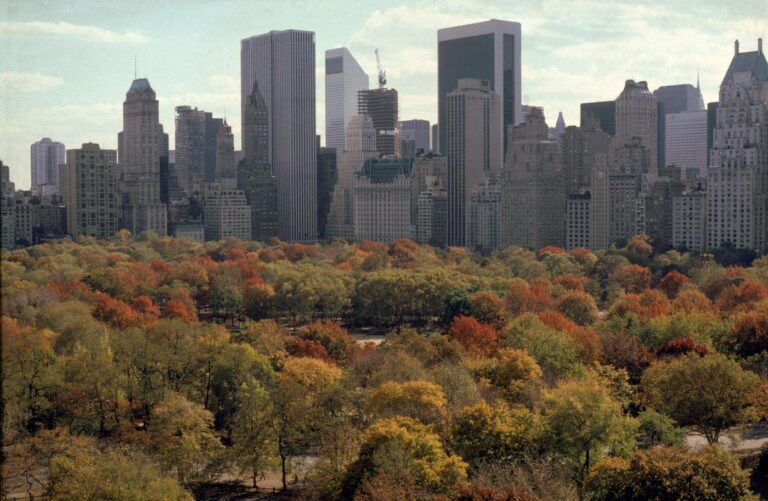 Manhattan's Mesmerizing '80s: Neon Nights, Street Art Days – A Colorful ...