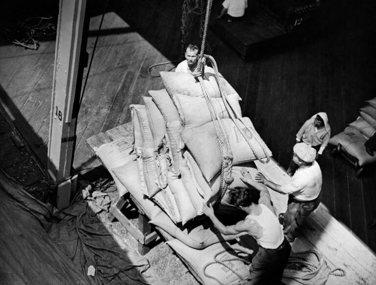 Brooklyn in the 1930s: These Photos Offer a Glimpse into Brooklyn's ...