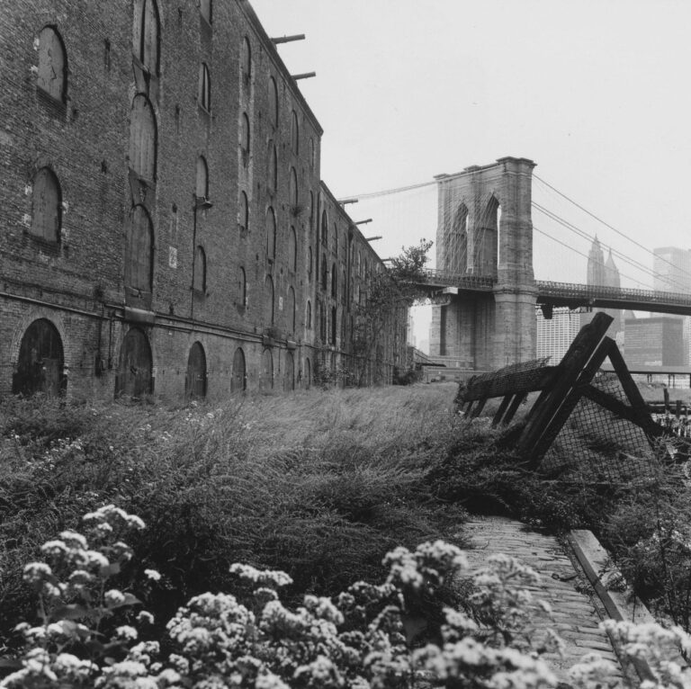 The Grit and Groove of Brooklyn in the 1970s Through Photos That ...