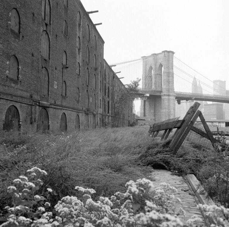 The Grit and Groove of Brooklyn in the 1970s Through Photos That ...