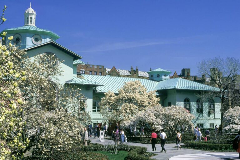 Step into the Streets and Everyday Life of Brooklyn in the 1980s ...