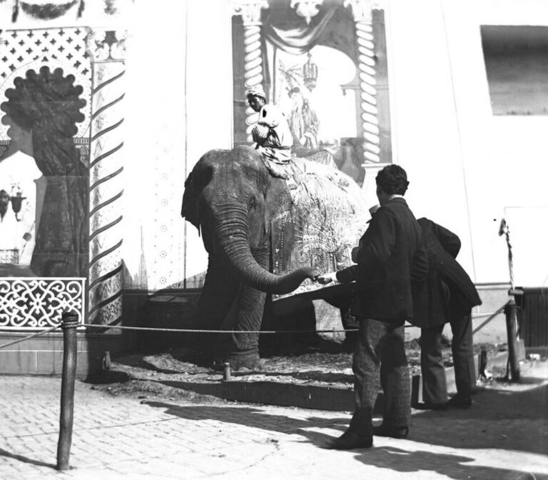 Step into the Whimsical World of Coney Island in the 1890s Through ...