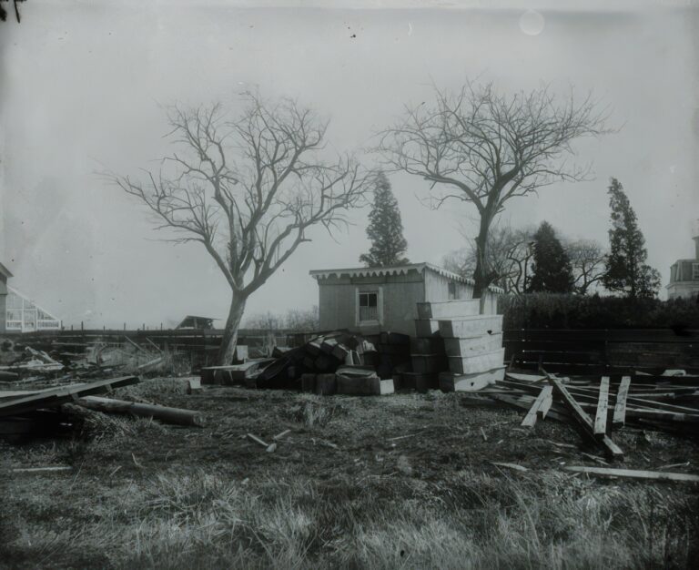 What the Bronx looked like in the 1890s through these Fascinating ...
