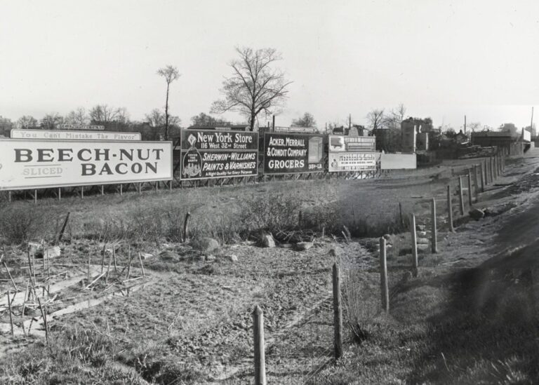 What The Bronx looked like at the Turn of the 20th Century