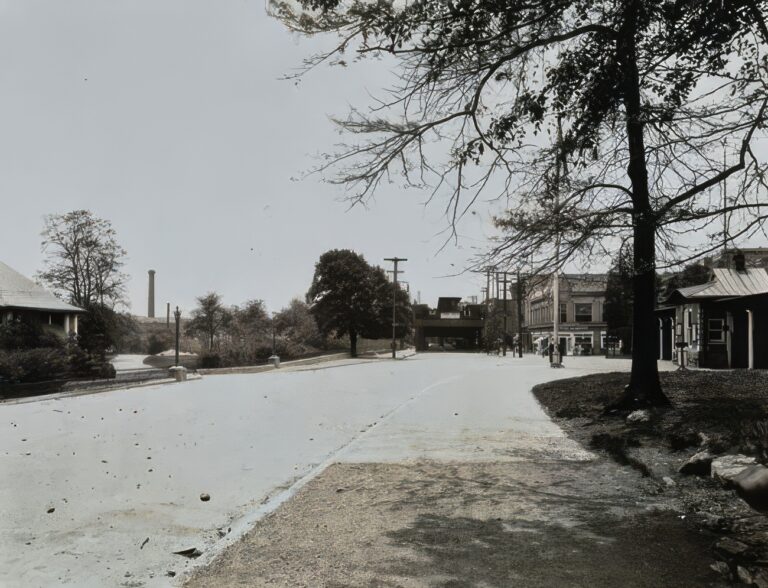 The Bronx in the 1920s brought to Life with these Fascinating ...