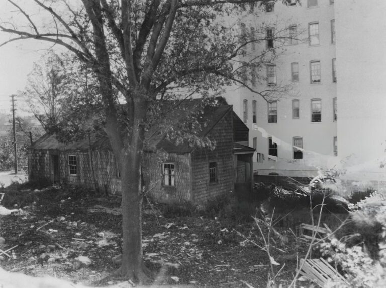 The Bronx in the 1920s brought to Life with these Fascinating ...