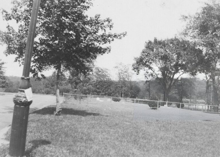 The Bronx in the 1920s brought to Life with these Fascinating ...