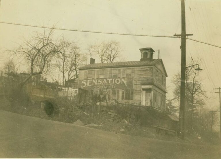 The Bronx in the 1920s brought to Life with these Fascinating ...