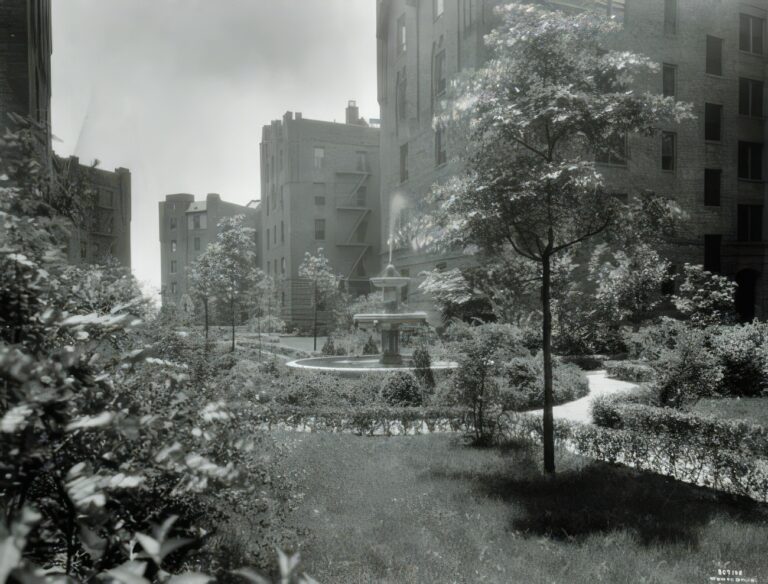 The Bronx in the 1920s brought to Life with these Fascinating ...