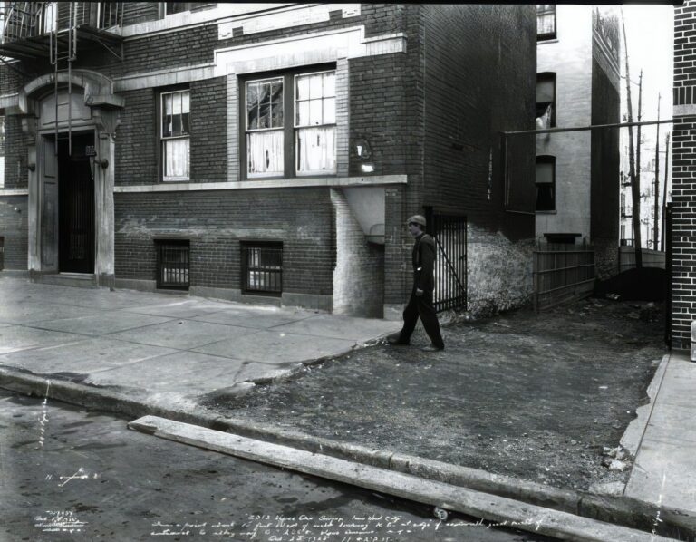 The Bronx in the 1920s brought to Life with these Fascinating ...