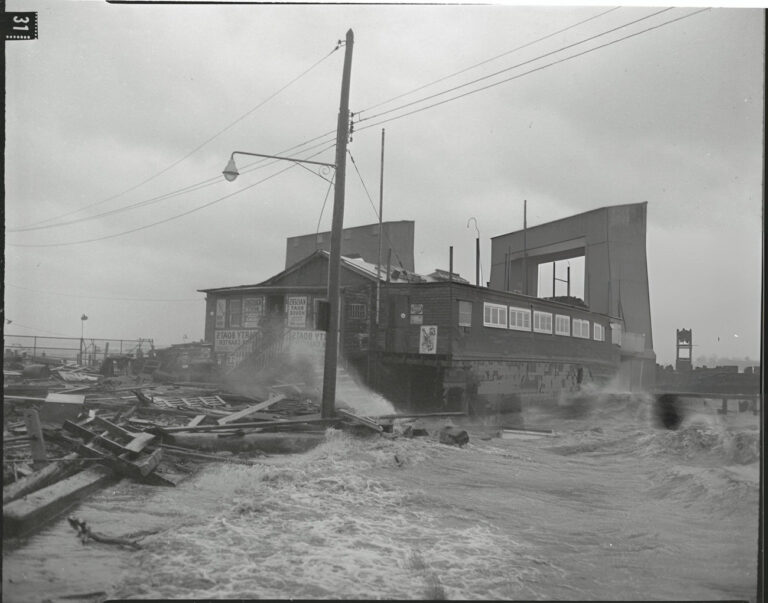 The Bronx in the 1950s: From Postwar Dreams to Urban Struggles in Photos