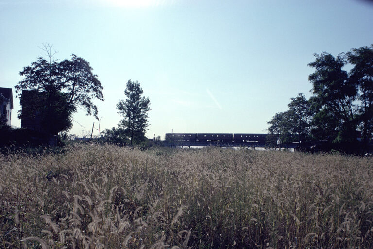 The Bronx in the 1980s: Fascinating Photos of Street Scenes and ...