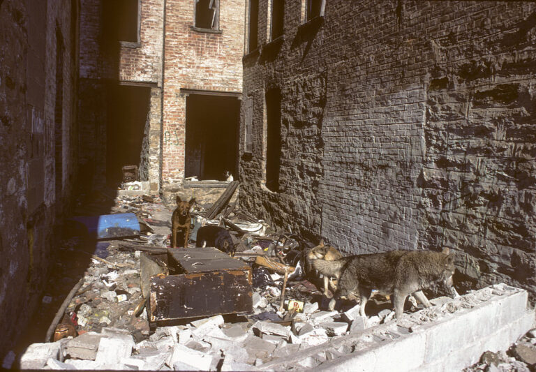 The Bronx in the 1980s: Fascinating Photos of Street Scenes and ...