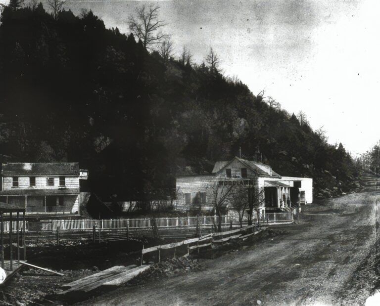 What the Bronx looked like in the 1990s: A Photo Journey through its ...