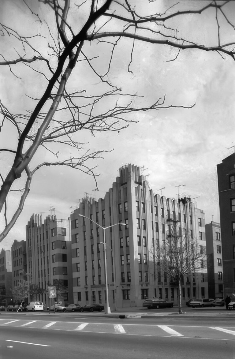 What the Bronx looked like in the 1990s: A Photo Journey through its ...