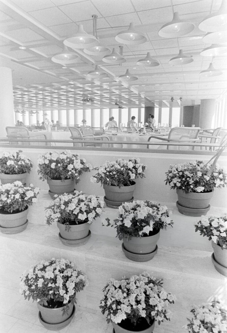 The Height of Culinary Excellence: Inside the World Trade Center's ...