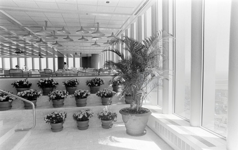 The Height of Culinary Excellence: Inside the World Trade Center's ...