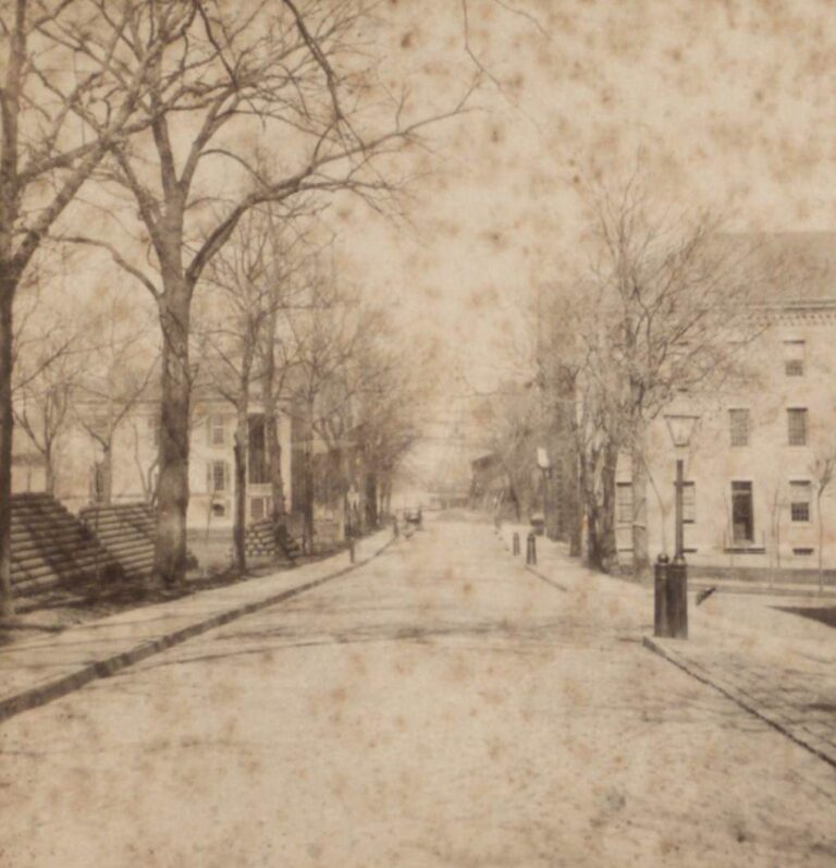 Rare Historic Photos of New York City in the 1850s