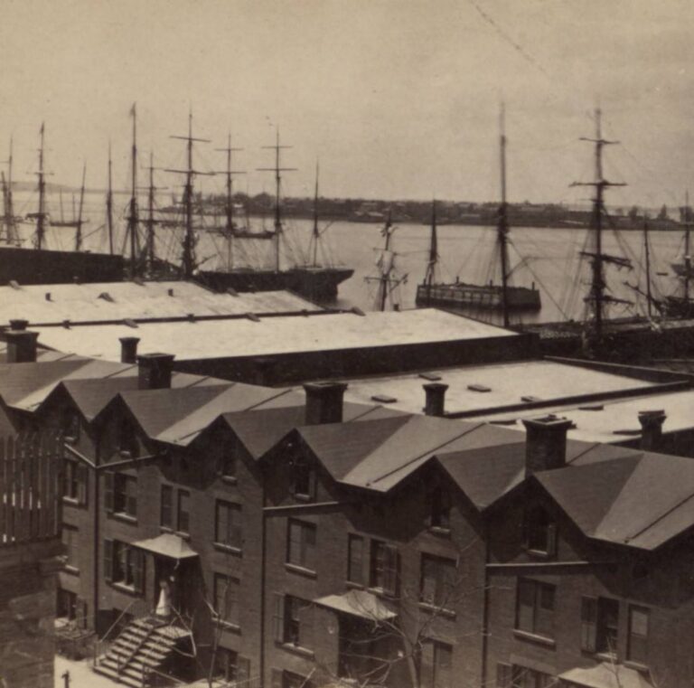 Rare Historic Photos of New York City in the 1850s