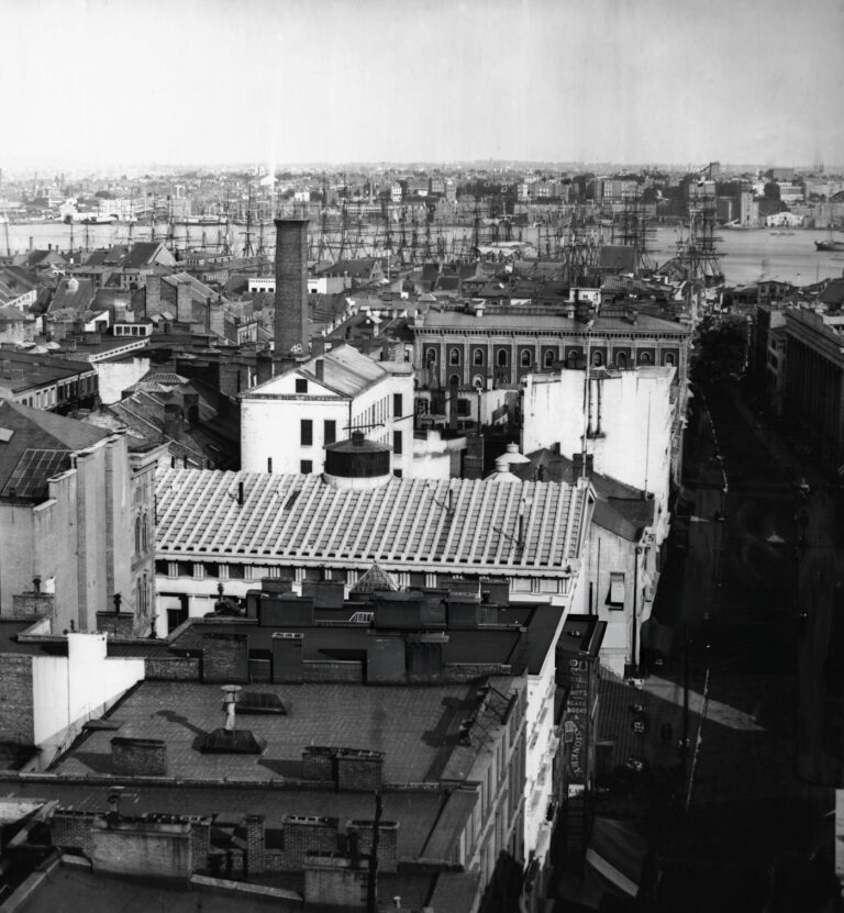 Rare Historic Photos of New York City in the 1850s