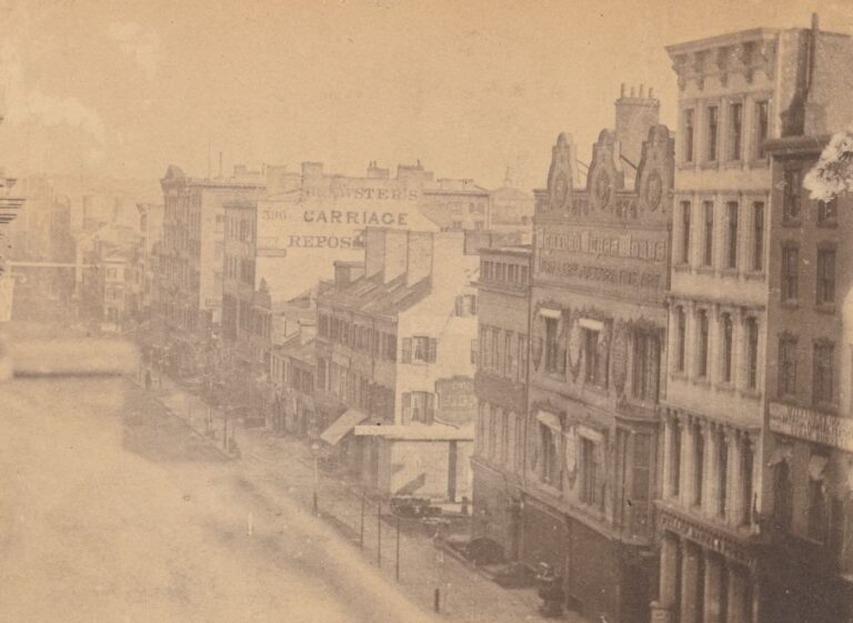 Rare Historic Photos of New York City in the 1850s