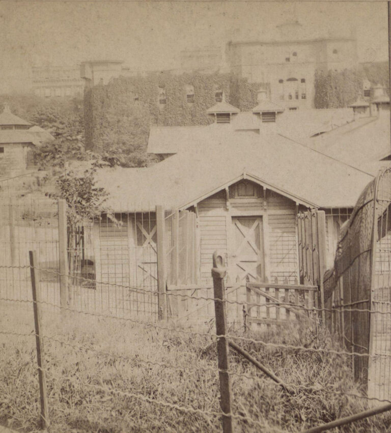New York City in the 1870s: Fascinating Historic Photos Capturing ...
