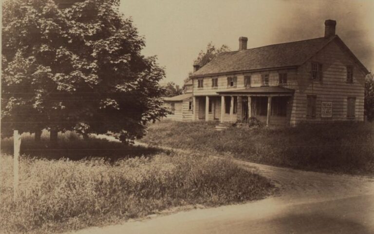 New York City in the 1890s: A Glimpse into Streets, Landmarks, and ...