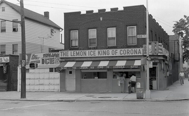 Queens in the 1970s: A Photographic Journey through the Streets ...