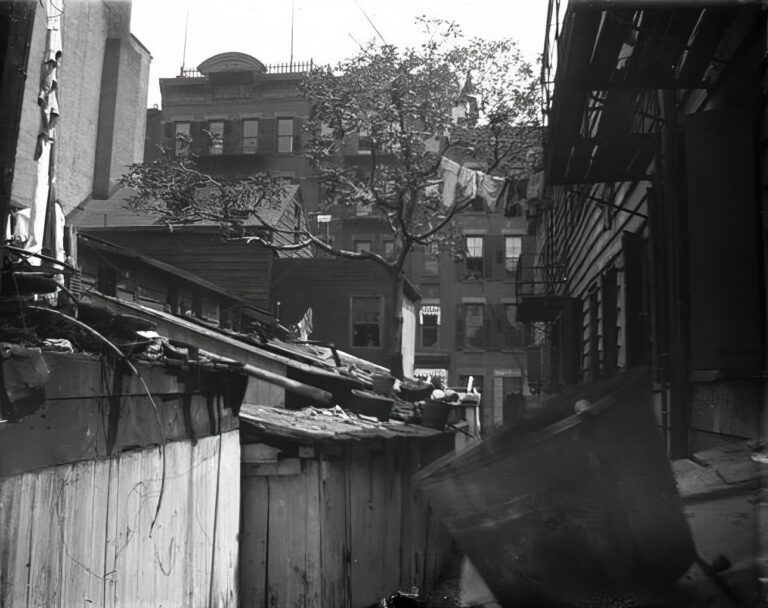Jacob Riis's Photos Capture the Struggles for Survival in 1895 New York ...