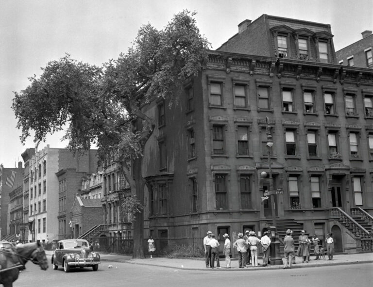 What Harlem looked like in the 1940s through these Fascinating ...