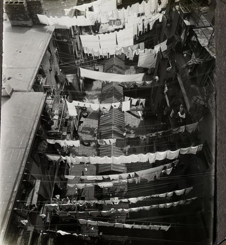 Where the Other Half Lived: A Brutal Look at 19th-Century Slums in New ...