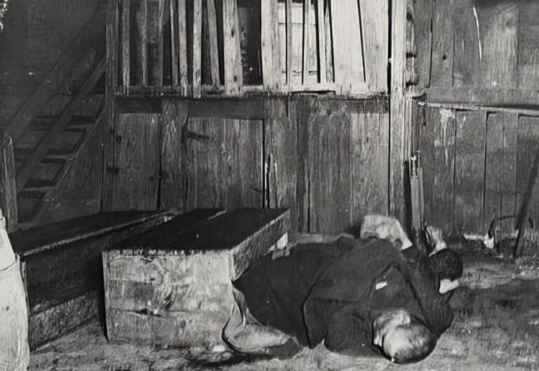 Where the Other Half Lived: A Brutal Look at 19th-Century Slums in New ...