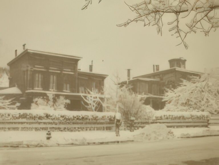 A Photographic Journey through Bushwick Avenue in the Early 1900s